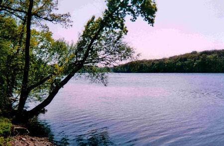 Geography – Friends of the Fox